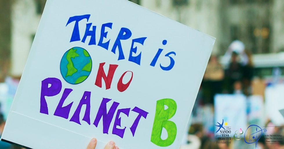 Ecocide: a crime against the environment that should be recognised ...