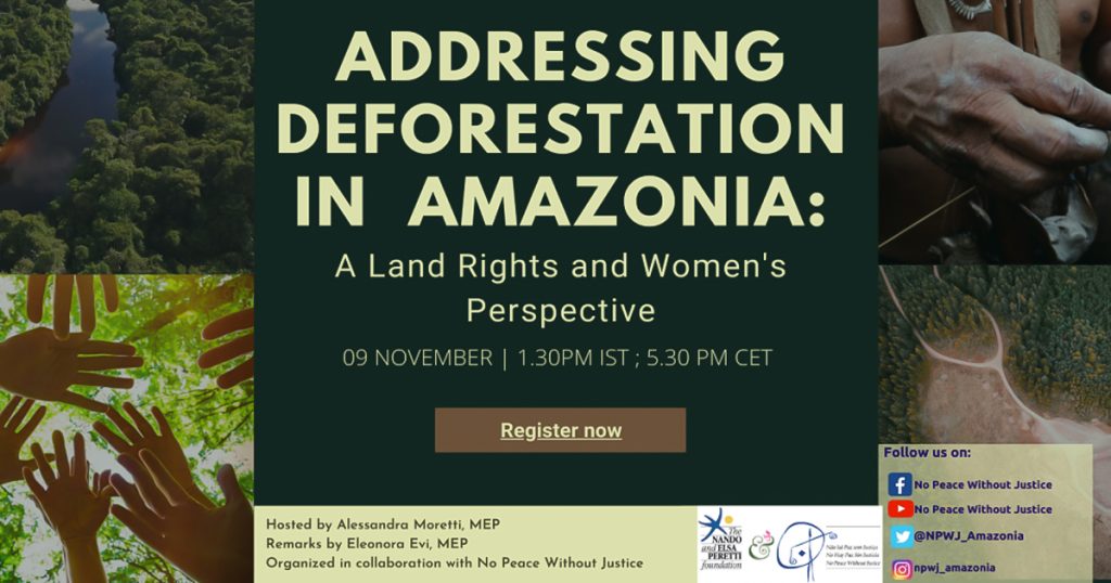 Addressing Deforestation in Amazonia. A Land Rights and Women's ...