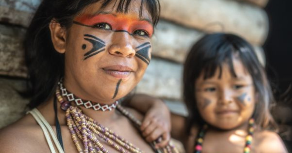 Universal Periodic Review of Brazil - NPWJ