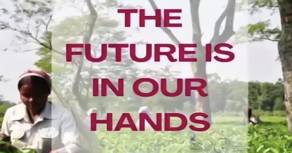 World Food Day: the future is in our hands - NPWJ